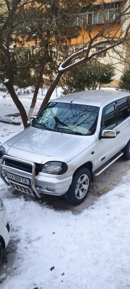 Niva 4x4 zor holatda