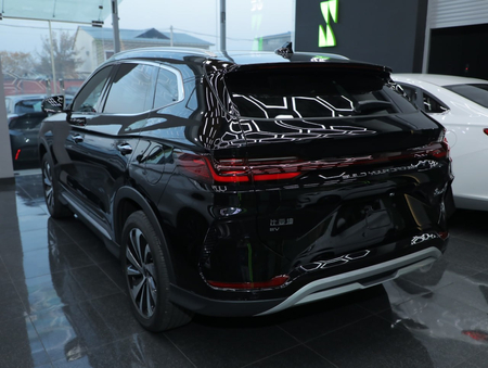 BYD Song plus Champion edition 2024