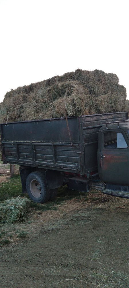 Gaz 53 samasval 1985 yil