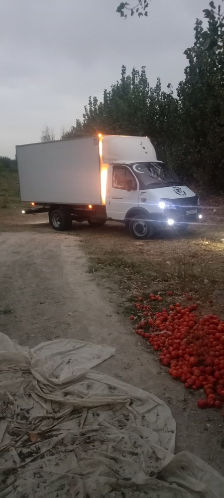 Gazel tezda sotiladi