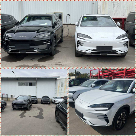 BYD Chempion2025