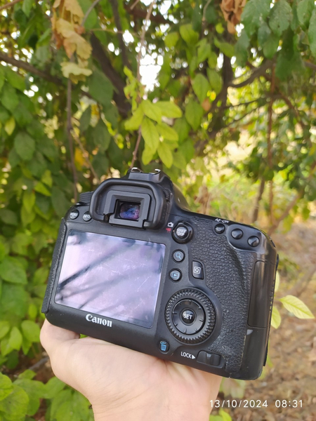 Canon 6D Sotiladi!