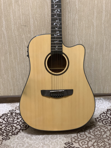 Deviser Guitar Yangi turibdi