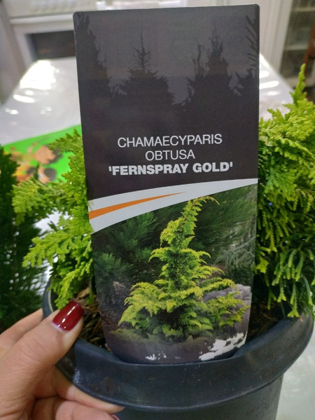 Продажа растений цена от 80 000