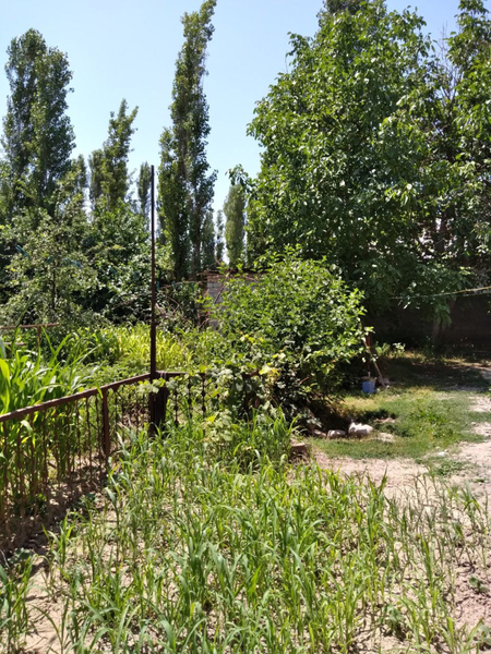 Продаётся дом ховли участка янгибазар Янгибозор