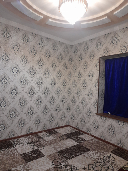 Qarshi Shahar yevro remon qilamiz