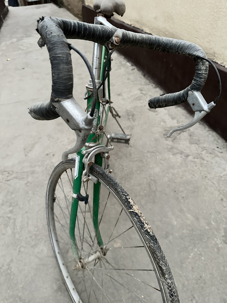 Gonchik velik radnoy