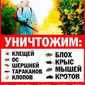 Качественная дизенфекция от тараканов и клопов.