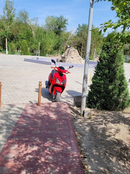 Сотилади сотилади
