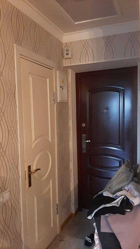 срочно продаю 1 ком большую японскую дешево (157348)