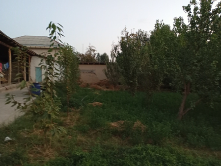 Yangiyol tumani  Mirzo ulug\\\'bek  Ayron maxala 8 sotix