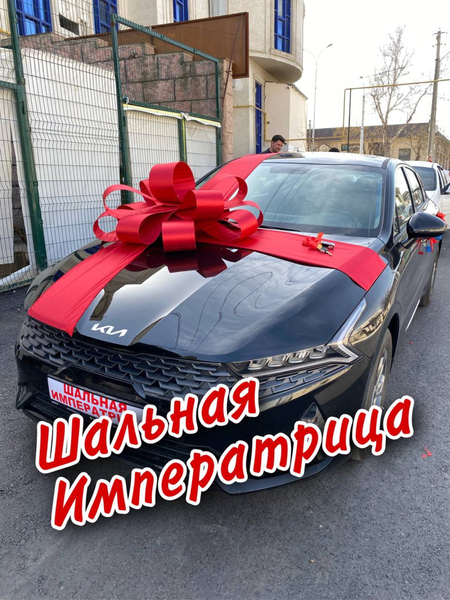 marry me предложения  оформления бантик на машину шарами цветами