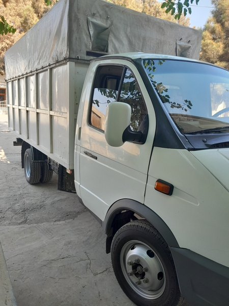 Gazel bortli tentli