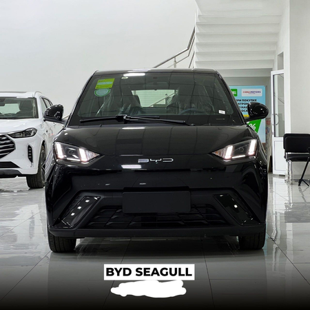 BYD seagul endi halol nasiyaga