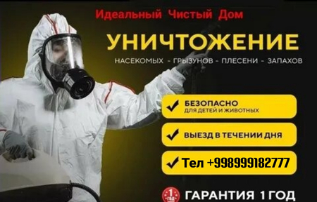 Dizinfeksiya ДЕЗИНФЕКЦИЯ от Клопов Тараканов Камари Грызунов 24/7