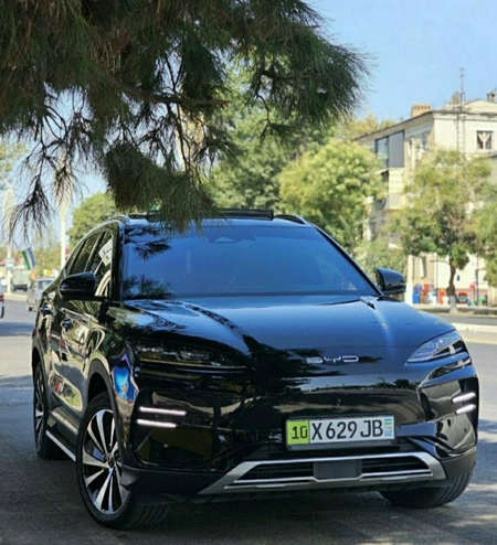 BYD CHEMPION 605 КМ. 2023.