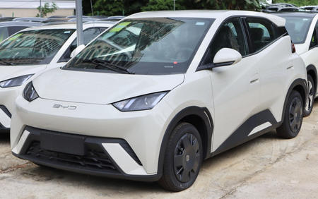 BYD seagull arenda S AA vikpom 14%