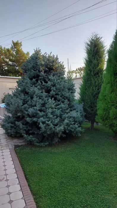 Срочна Продаётся:  Дом Сагбон Улица Соток 6