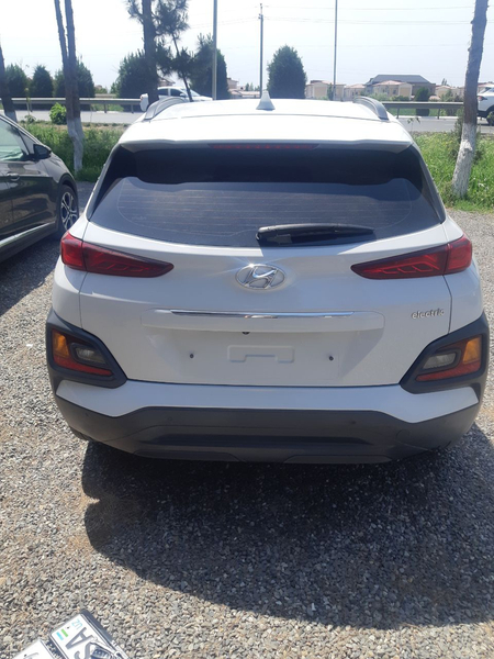 Hyundai kona electric