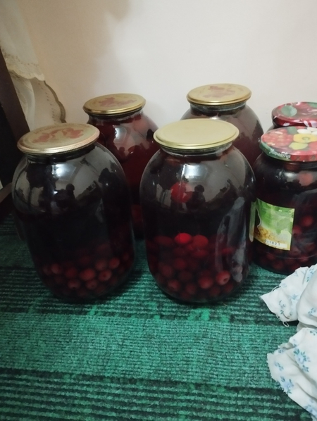 Закрутки разных банок компоты икра