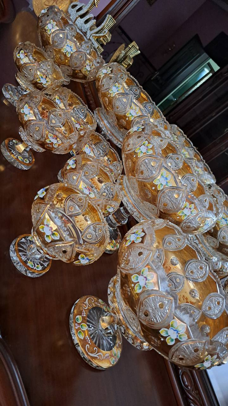 Bagema arginal dishlari