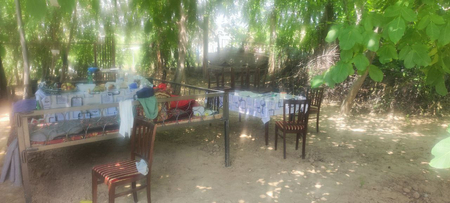 Dacha arendaga beriladi