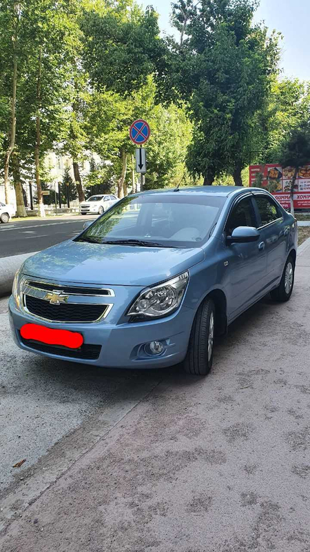 Кобальт дельфин в хорошие руки!!!