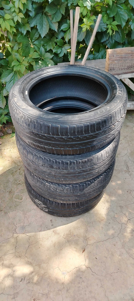 Шины R 15 /55/185