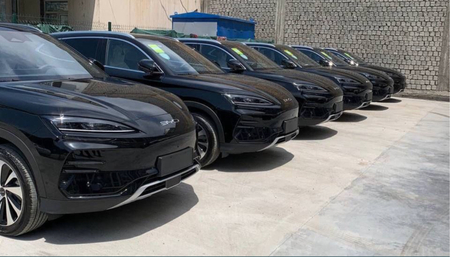 Byd chempion Honor 605 km 2024 Servis Garantiya bor Sergili