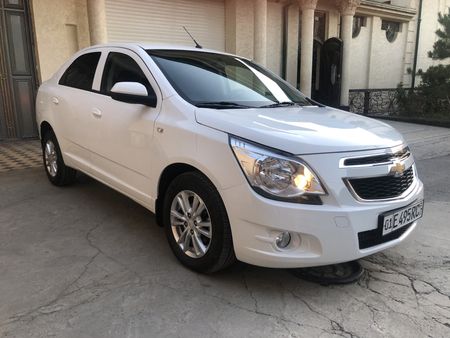 Arenda Cobalt 2023