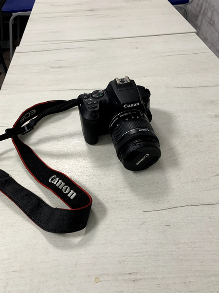 CANON 250D fotoporat arginal