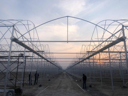 Китайская Теплица. Xitoy issiqxona. Langchin Greenhouse