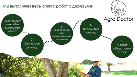 Профессионал Дарахт Кочириш Пересадка Деревьев Ландшафт Обрезка