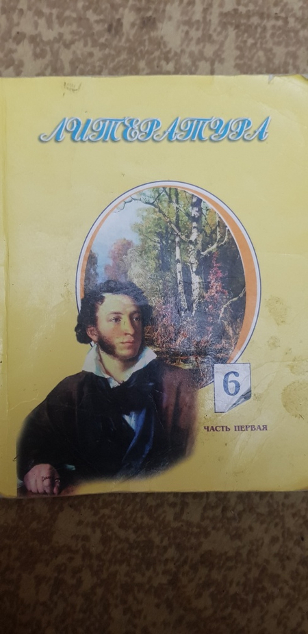 Продаются книги по литературе 6 - 10 классы.