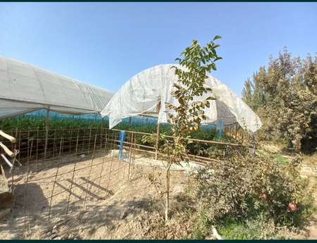 teplitsa sotiladi