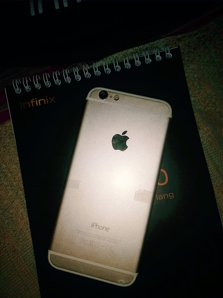 iPhone korpuslar