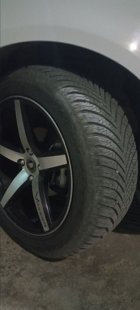 Vossen 17  diska balon