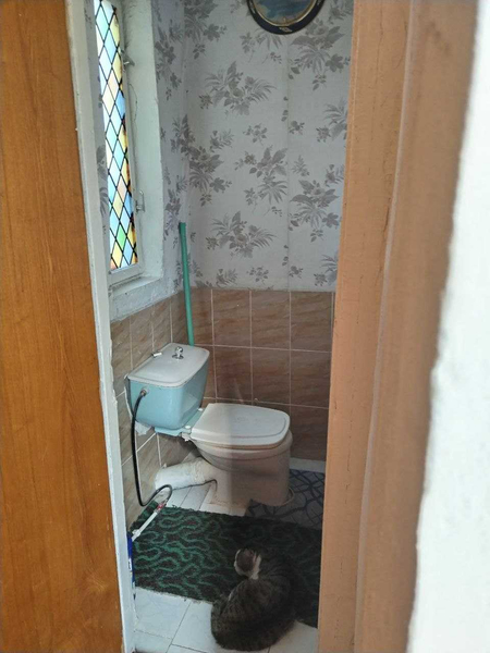 Продается дом-дача