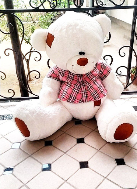 Teddy va boshqa yumshoq oʻyinchoqlar