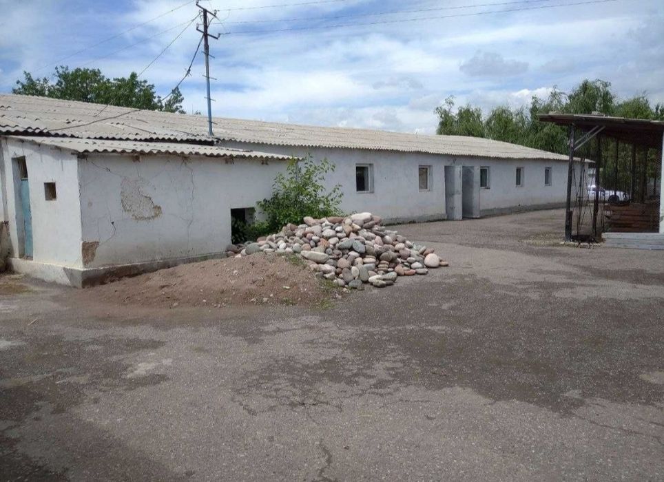 Продаю ферму в кибрай