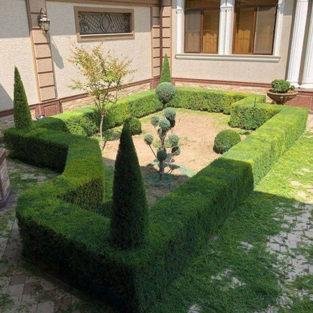 Archa va gullarga shakli berish