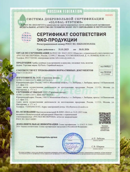 Lion's mane  Ежевик Гребечатый - 100% натуральный гриб ноотроп.