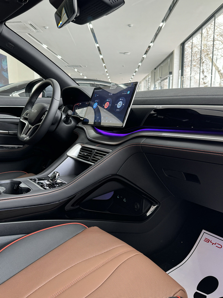 BYD champion EV . Выгодно !!!