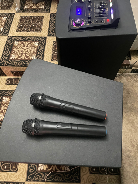 Музыкальный центр Elteonic 20-06