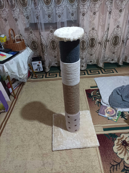 Когтеточка для котят