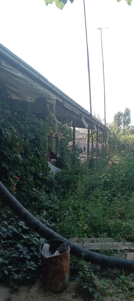 Sirochniy xovli sotildi