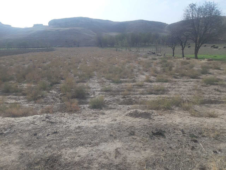 Sotiladiga yer agorot