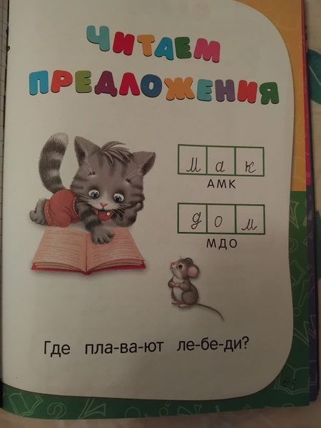 Годовой курс для дошколника