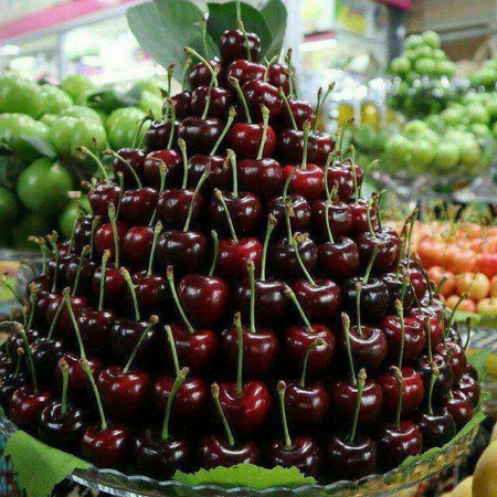 Shoptoli bor guloz bor qulupney bor dovcha bor kok sulton bor