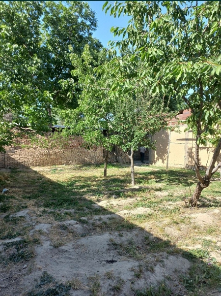 Yer Sotiladi 2.5 sotix M.Fozilov MexnatPivo Po'stidan 3km